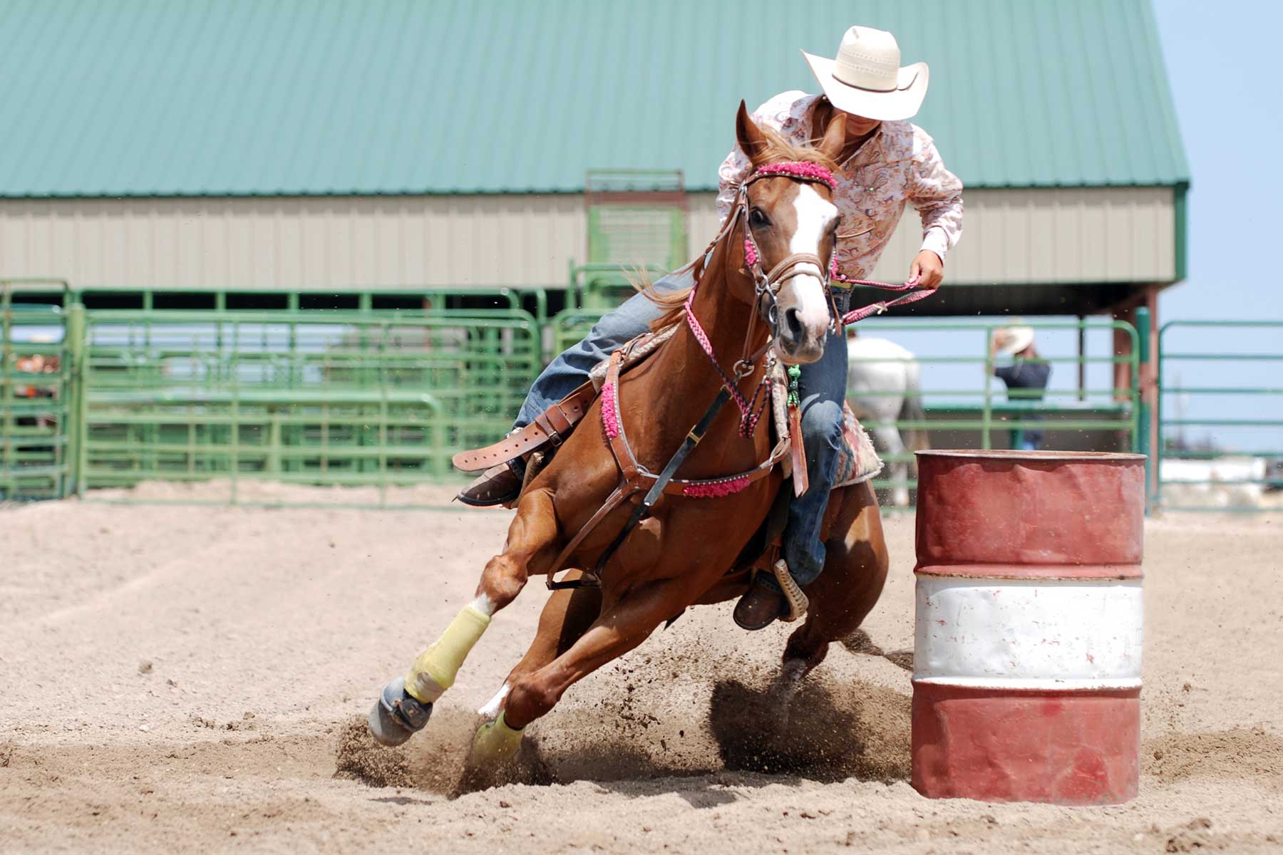 The 10 Best Barrel Racing Lessons Near Me (2025)