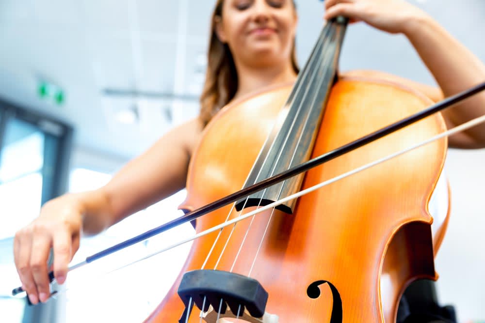 The 10 Best Cello Lessons in Manassas, VA (2025) - Lessons.com