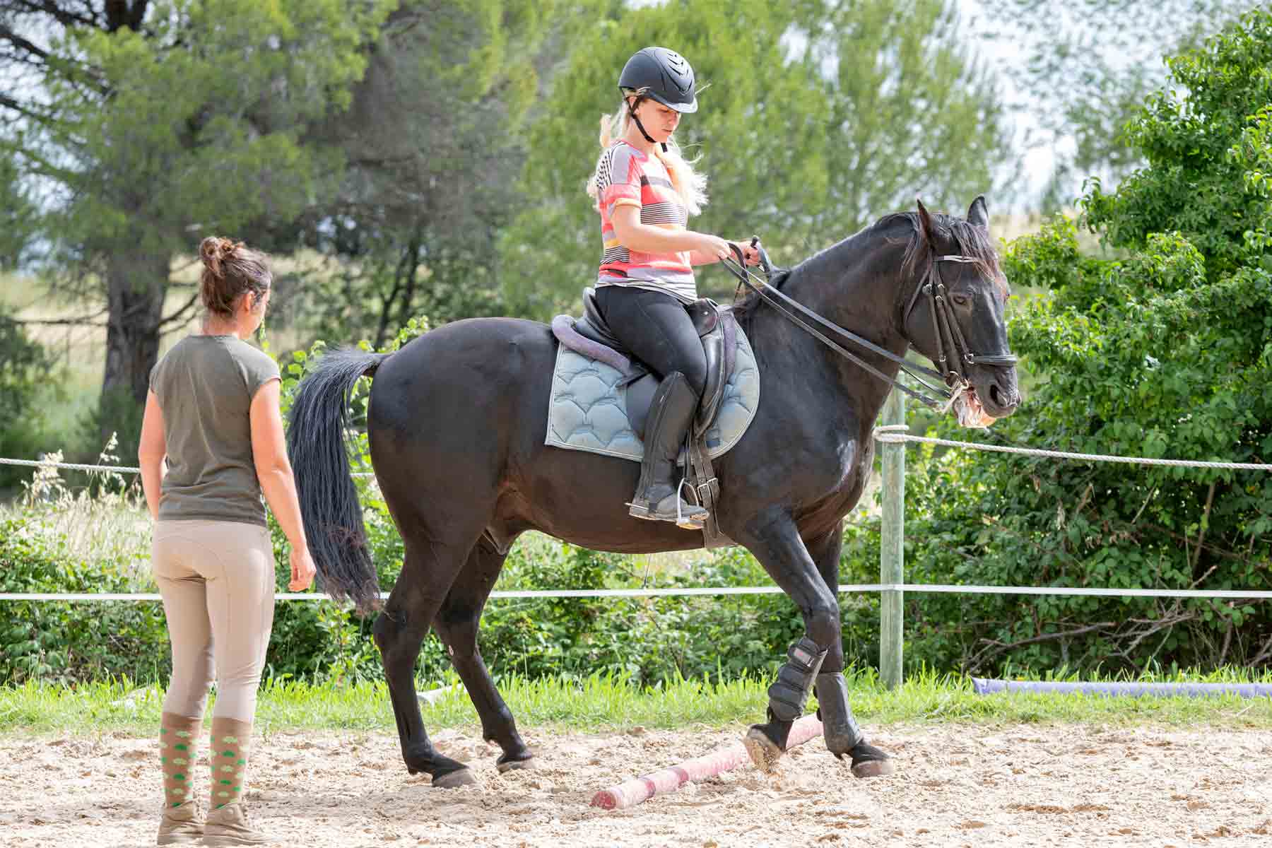 The 10 Best Dressage Lessons Near Me (for All Ages & Levels)