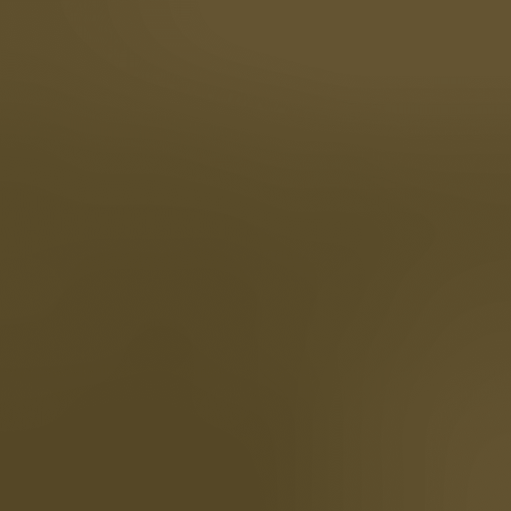 Ruth Academy - Daycare in Irving, TX - TrustedCare