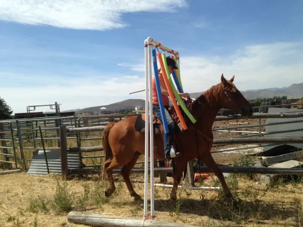 Horsewise Enterprises At Ropes End Ranch in Twin Falls, ID // Lessons.com
