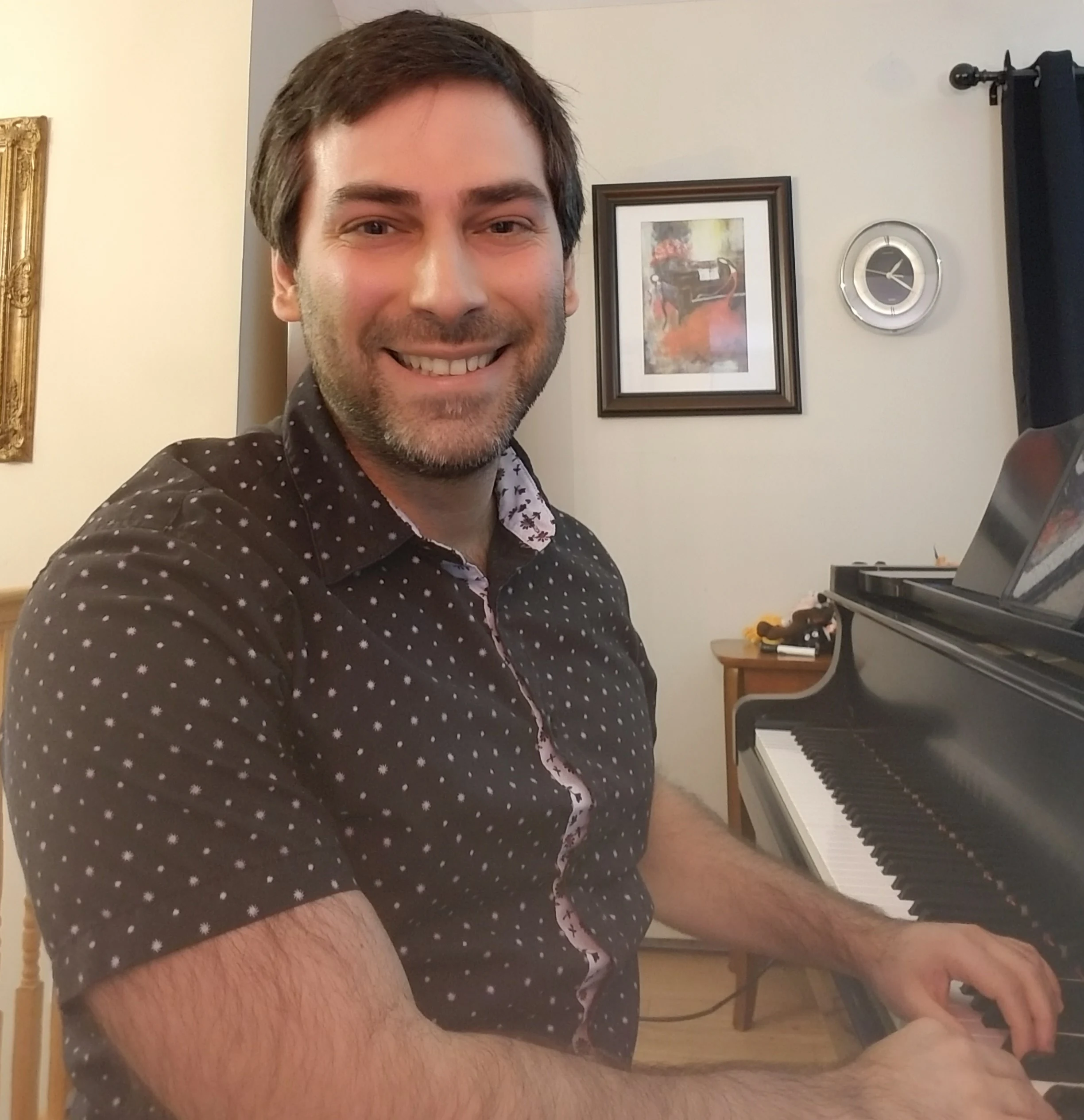 Piano Lessons For Pro Musicians & Dedicated Students: With Dan Fogel ...