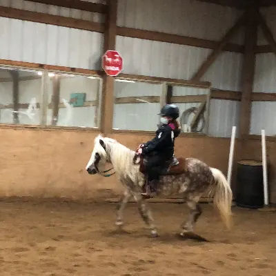 Crescent Ridge Ranch in O'fallon, MO // Lessons.com