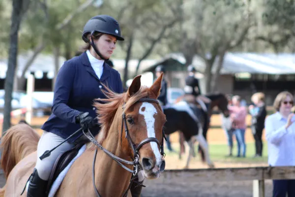 3 Sisters And A Dude Ranch in Tampa, FL // Lessons.com