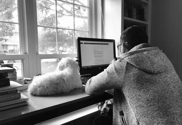 Ronny Susanto, CPA, EA in Allen, TX // Thervo