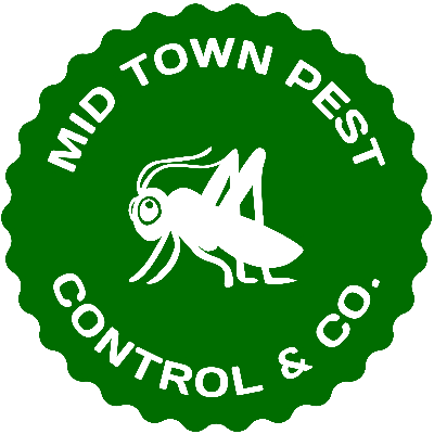 The 10 Best Termite Tenting Companies Near Me (Free Quotes)