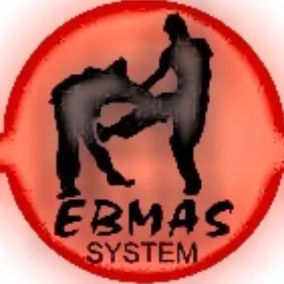 EBMAS Wing Tsun Kung Fu in Colorado Springs, CO // Lessons.com