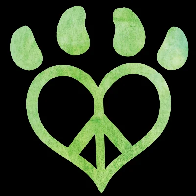 Pawsitive Play in Covington, KY // HomeGuide