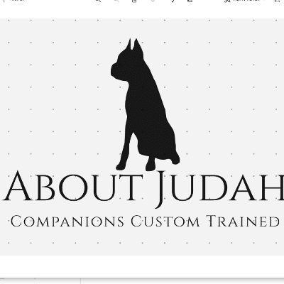 About Judah K9 Training in Charlotte, NC // HomeGuide