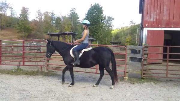 Rocky Springs Ranch in Hagerstown, MD // Lessons.com