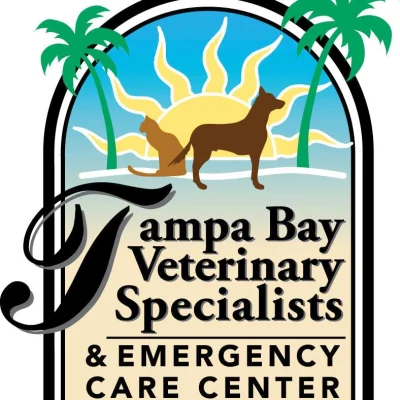 Tampa Bay Veterinary Specialists And Emergency Care Center - Vet in ...