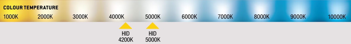 Blitz HID Driving Light