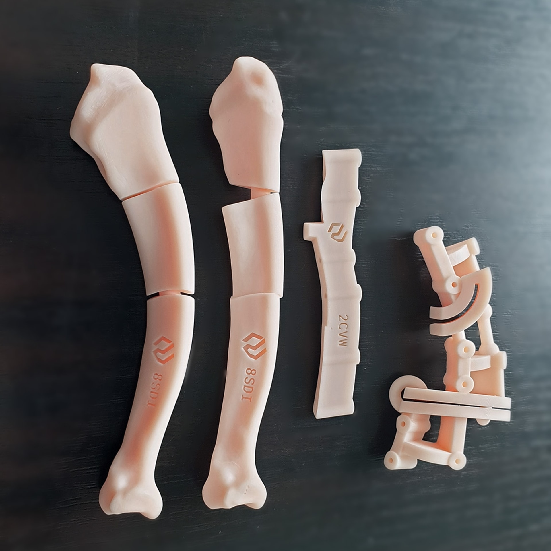 Cutting guide for an antebrachial correction osteotomy - LimesVet