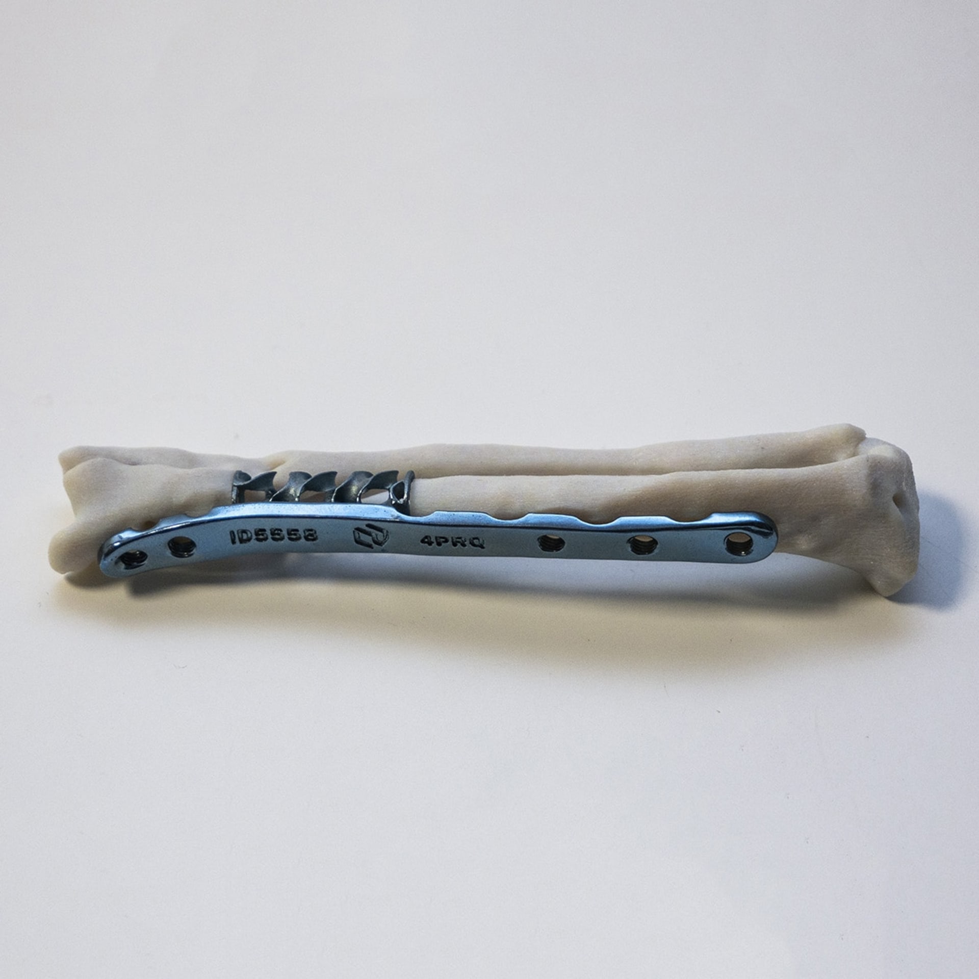 Tibial implant - LimesVet