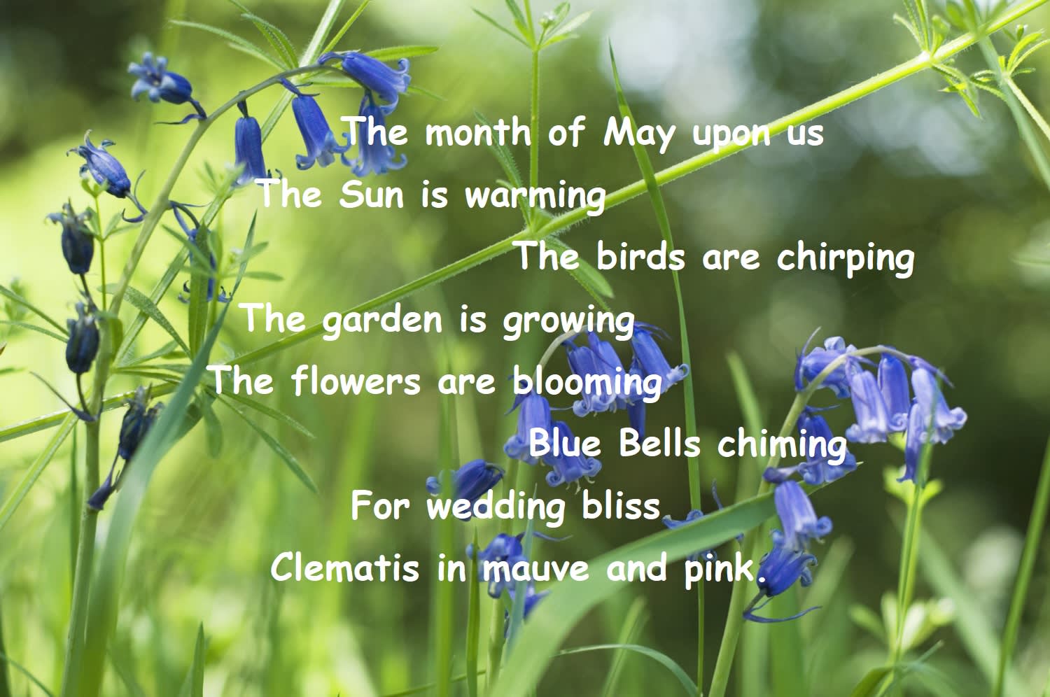 Month of May - Linda Frances - Line of Poetry