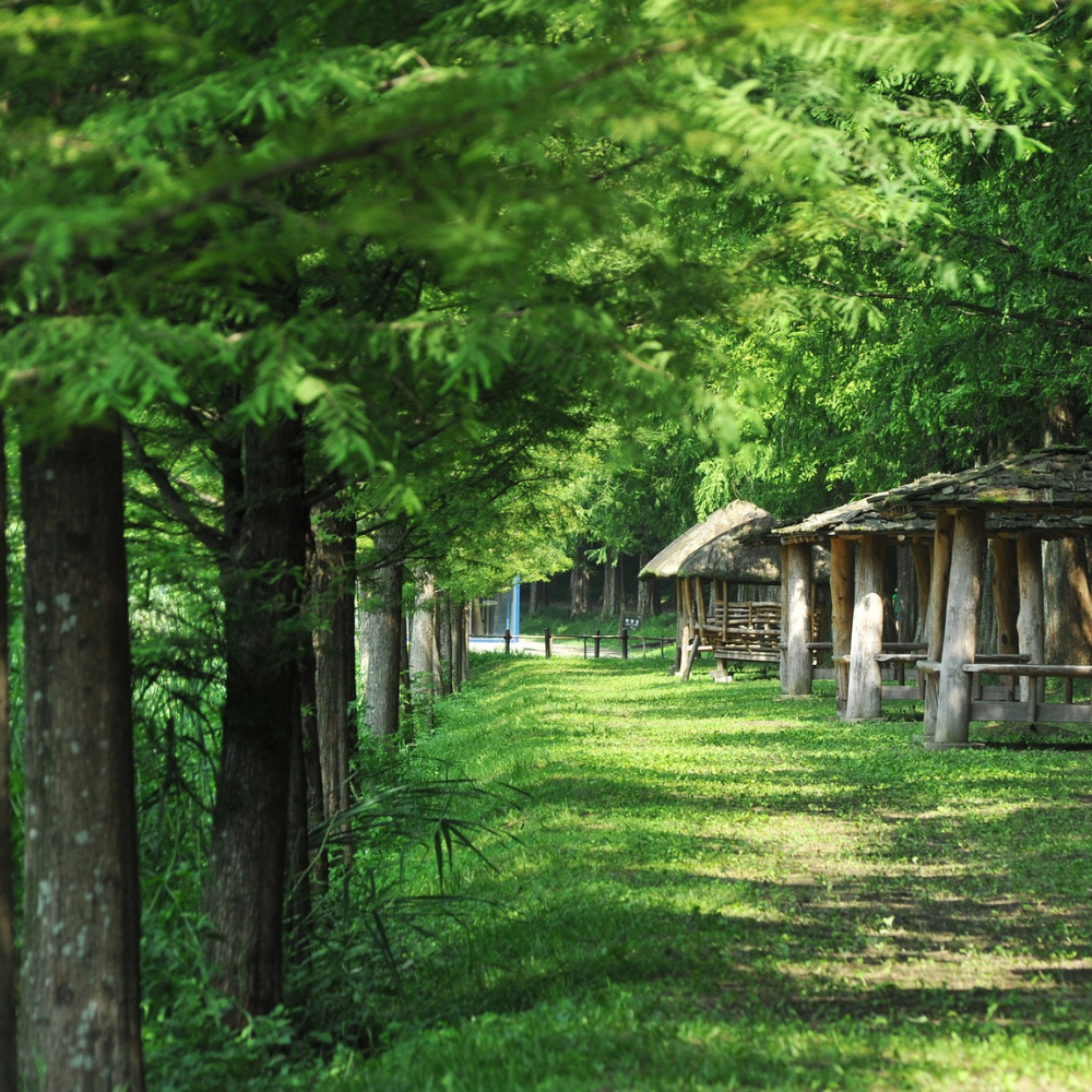 About Us | Lines Landscaping