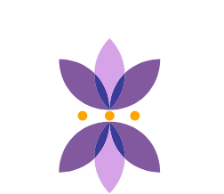 Zingoy Double Coinback Utsav