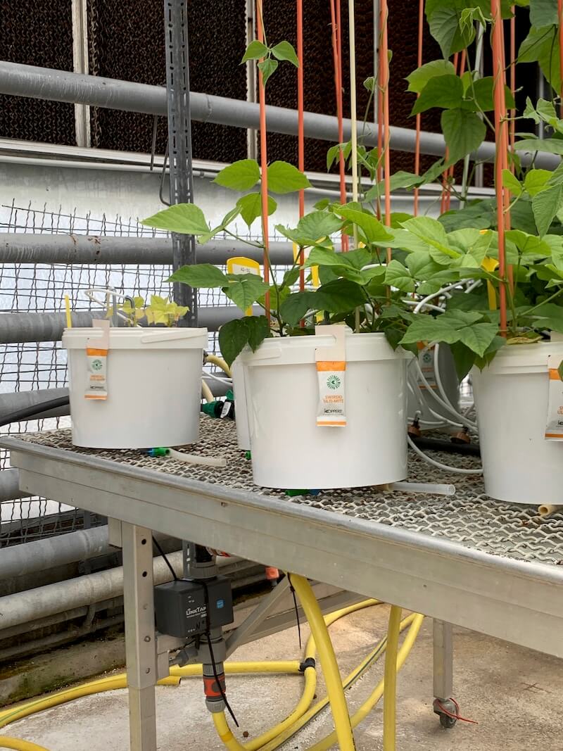 Smart and Safe Watering for Every Garden