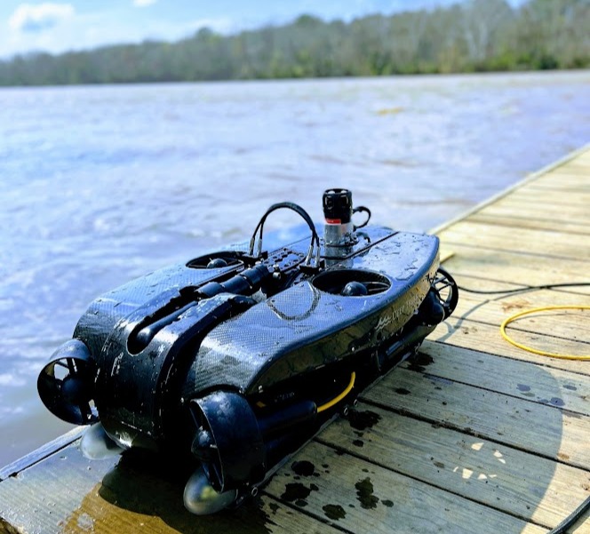 Linq - Shane Seagroves