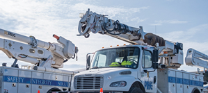 Linq - James Simpson