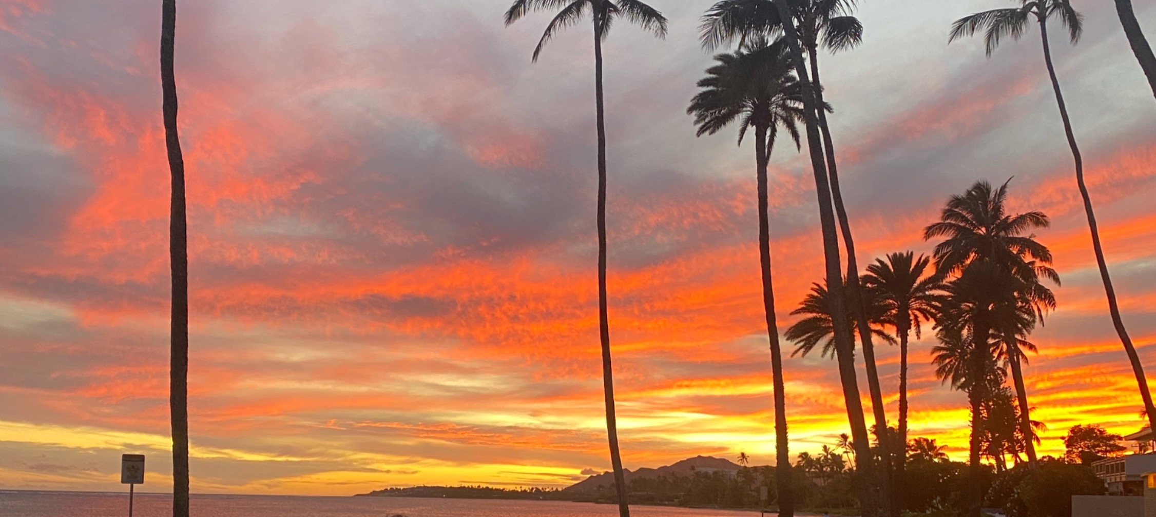 Linq - David Contento