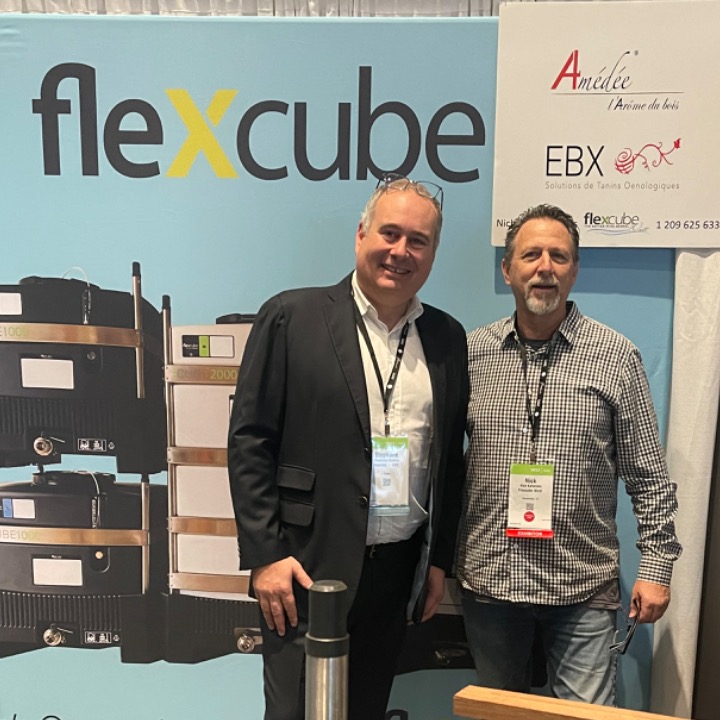 Linq - Nicholas Karavidas