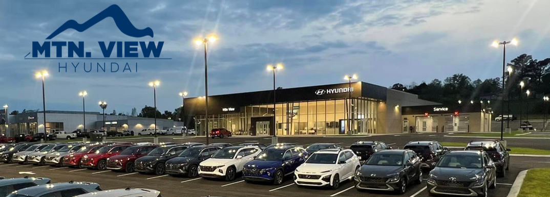 Linq - Kristie Kolankiewicz -SCP