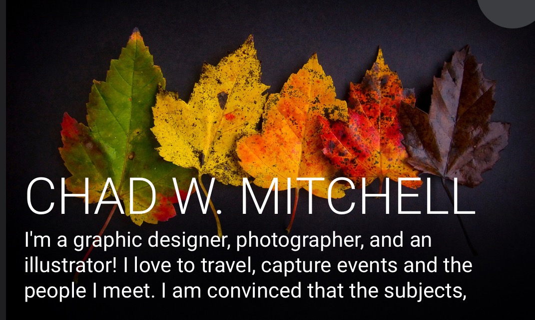 Linq - Chad W Mitchell