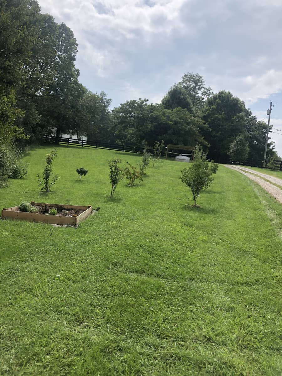 Linq - Jeffrey Smith