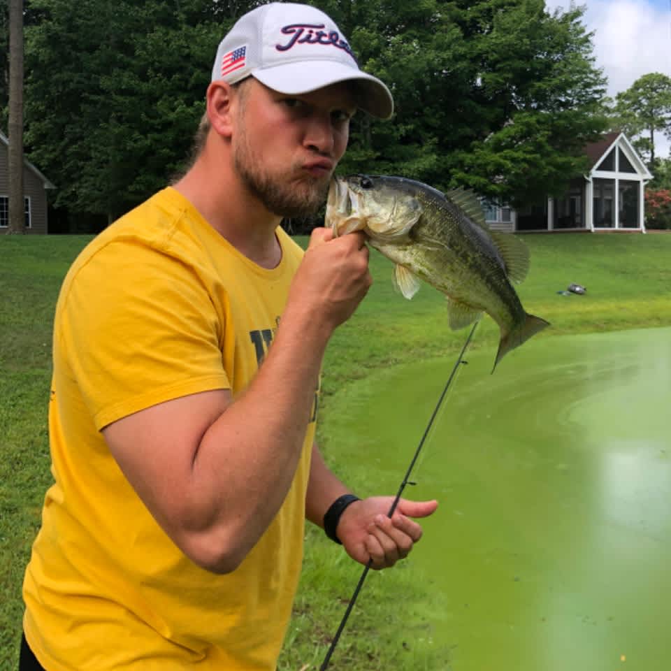 Linq - Jared Mazezka