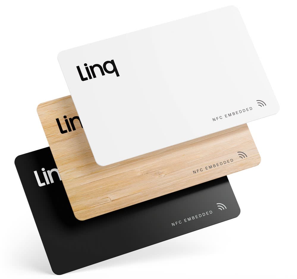 Linq - Mariel Didier