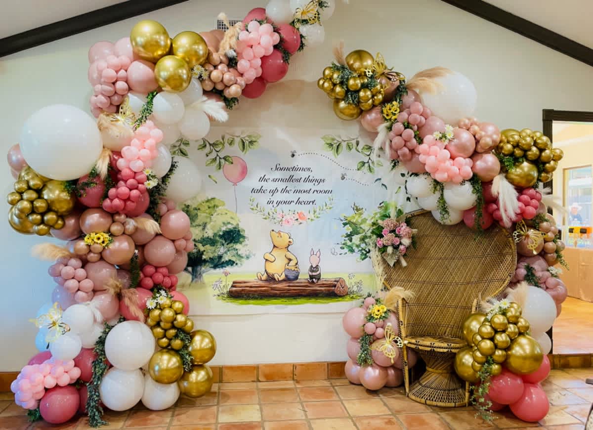 Linq - Ileen Avalos-Bryan