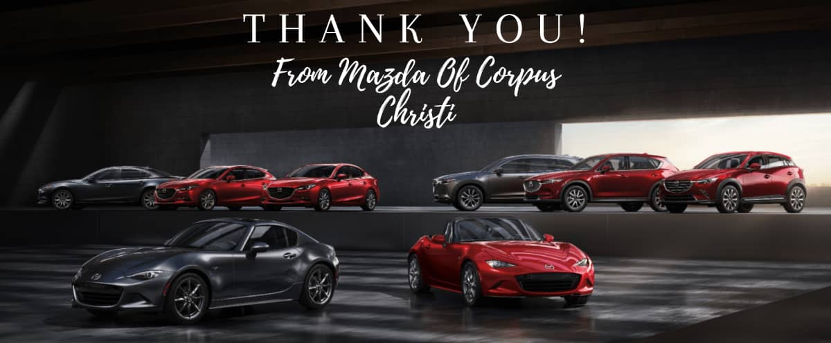 Linq - Anthony Slaughter