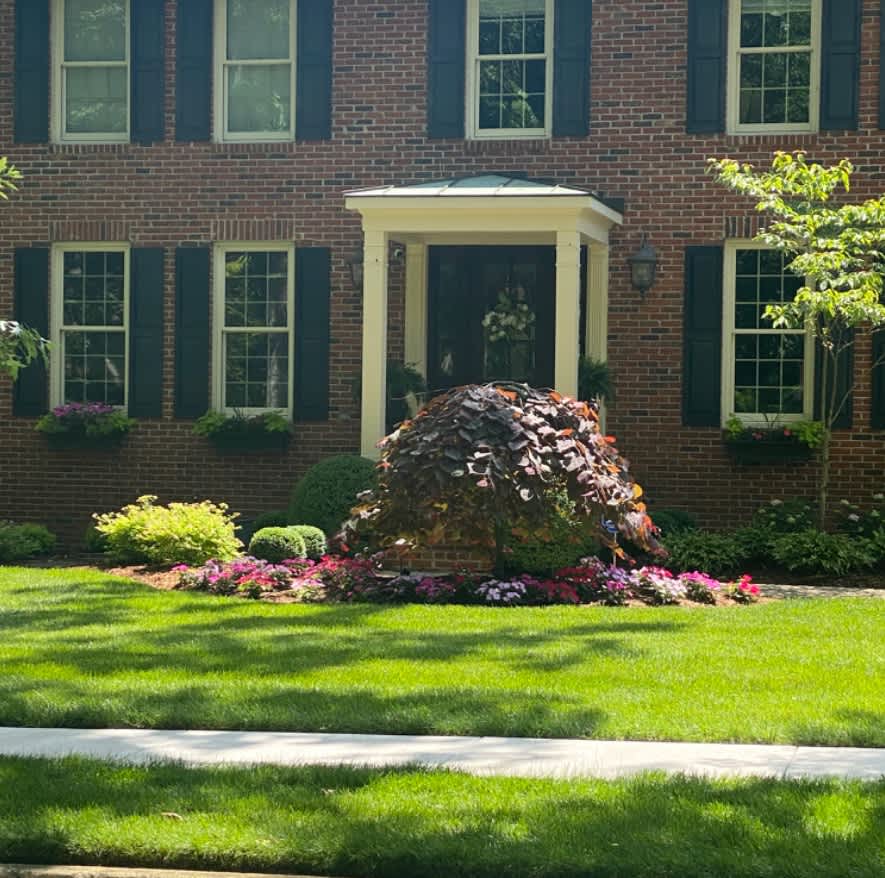 Linq - Jeffrey Smith