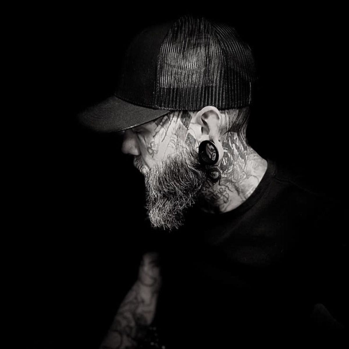 Linq - Stuart Christopher