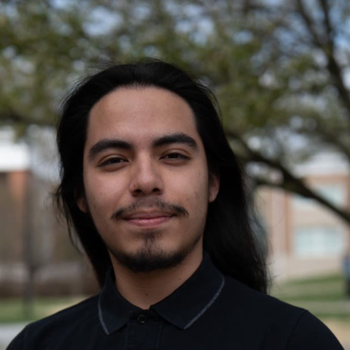 Linq - Joseph Falcon