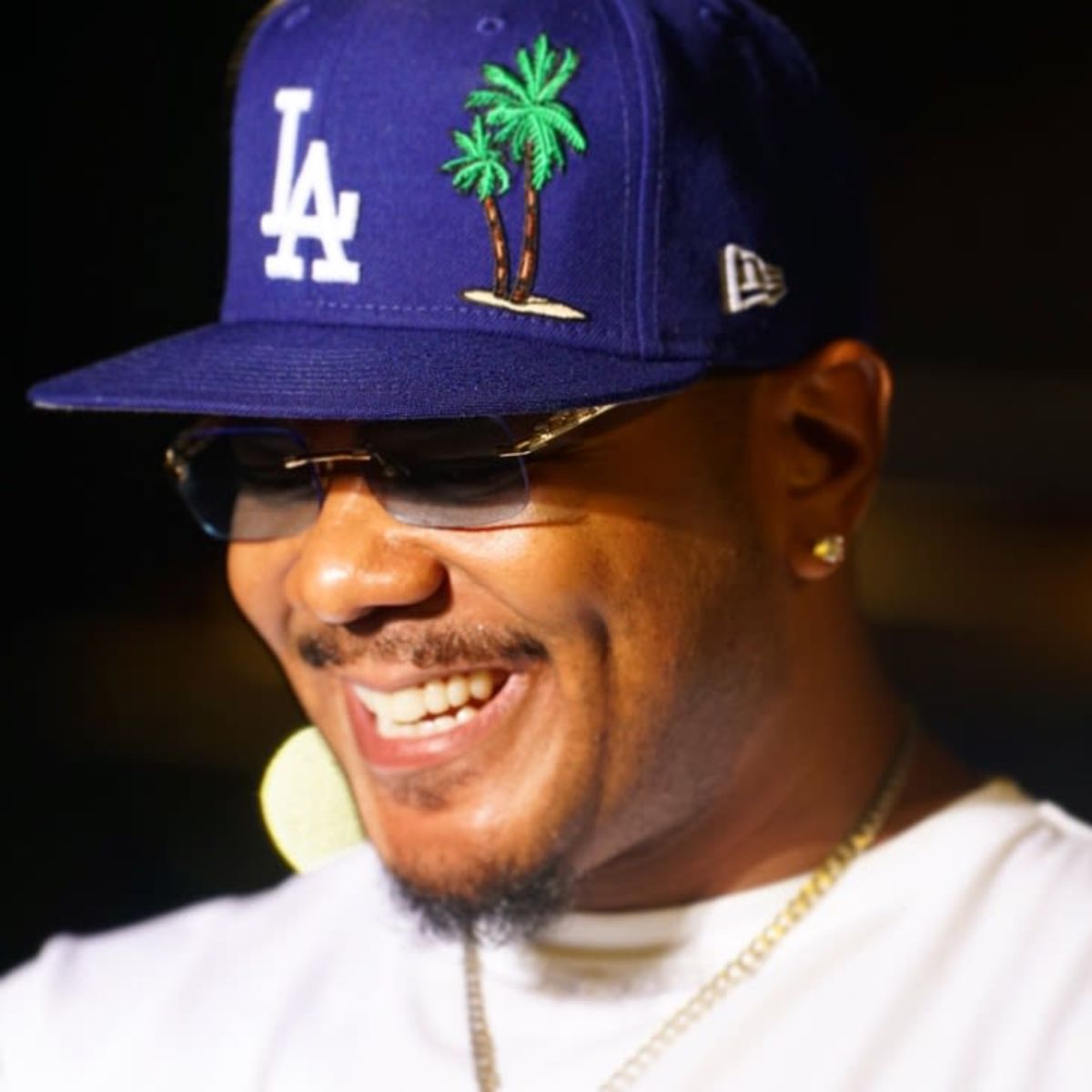 Linq - Chris Pollard