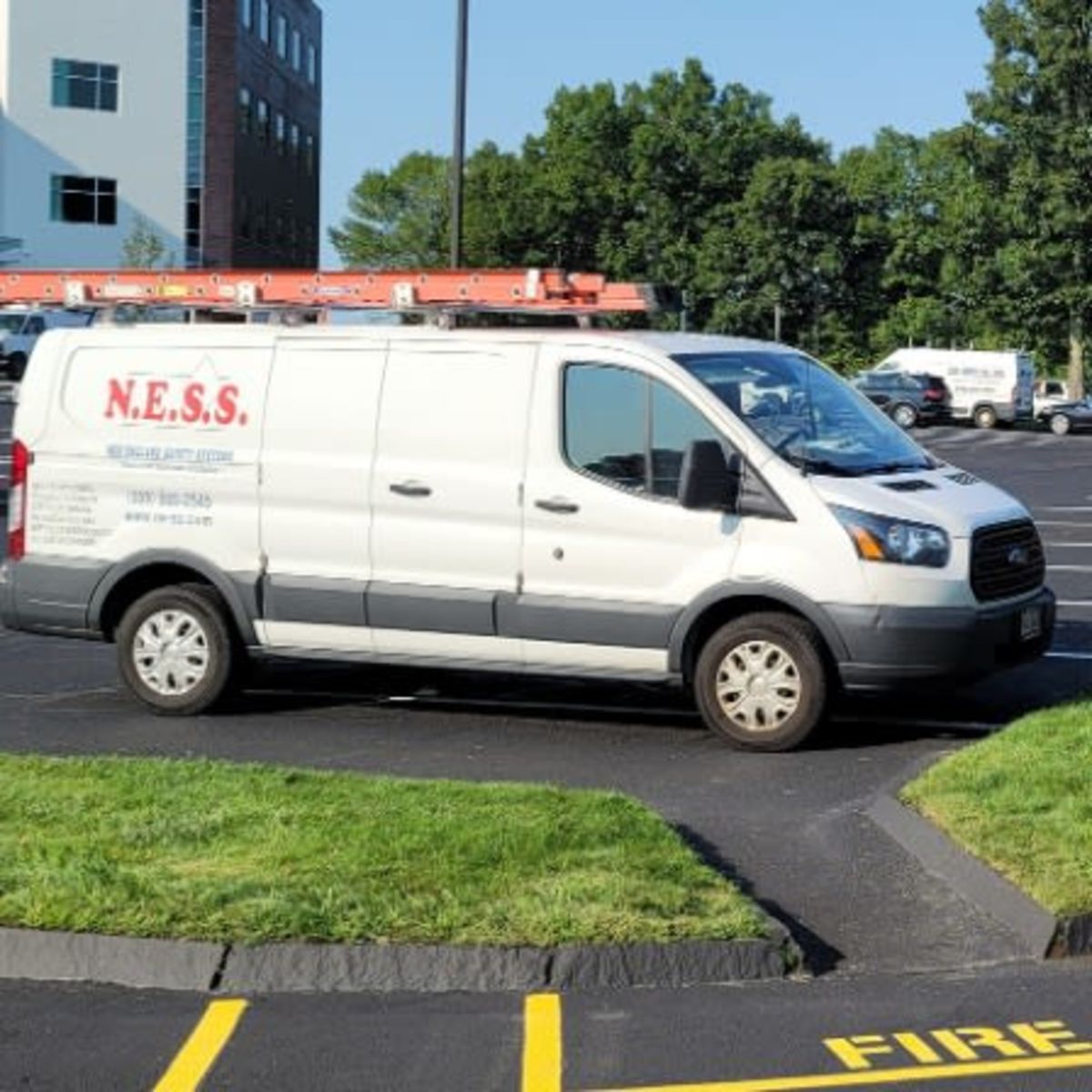 Linq - Tony Pimentel