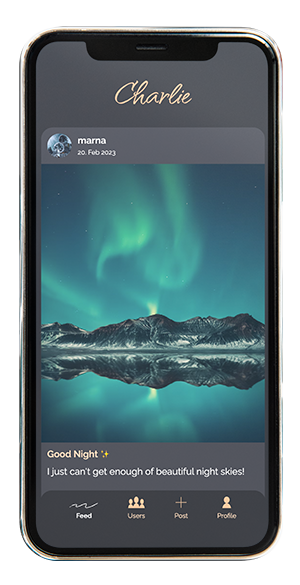 GitHub - Noroff-FEU-Assignments/project-exam-2-lisauhlen: project-exam-2-lisauhlen created by ...