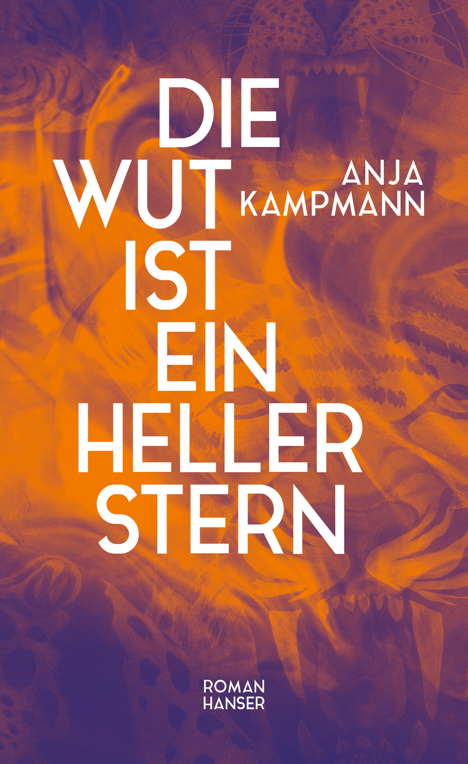 Die Wut ist ein heller Stern | Anja Kampmann | Hanser