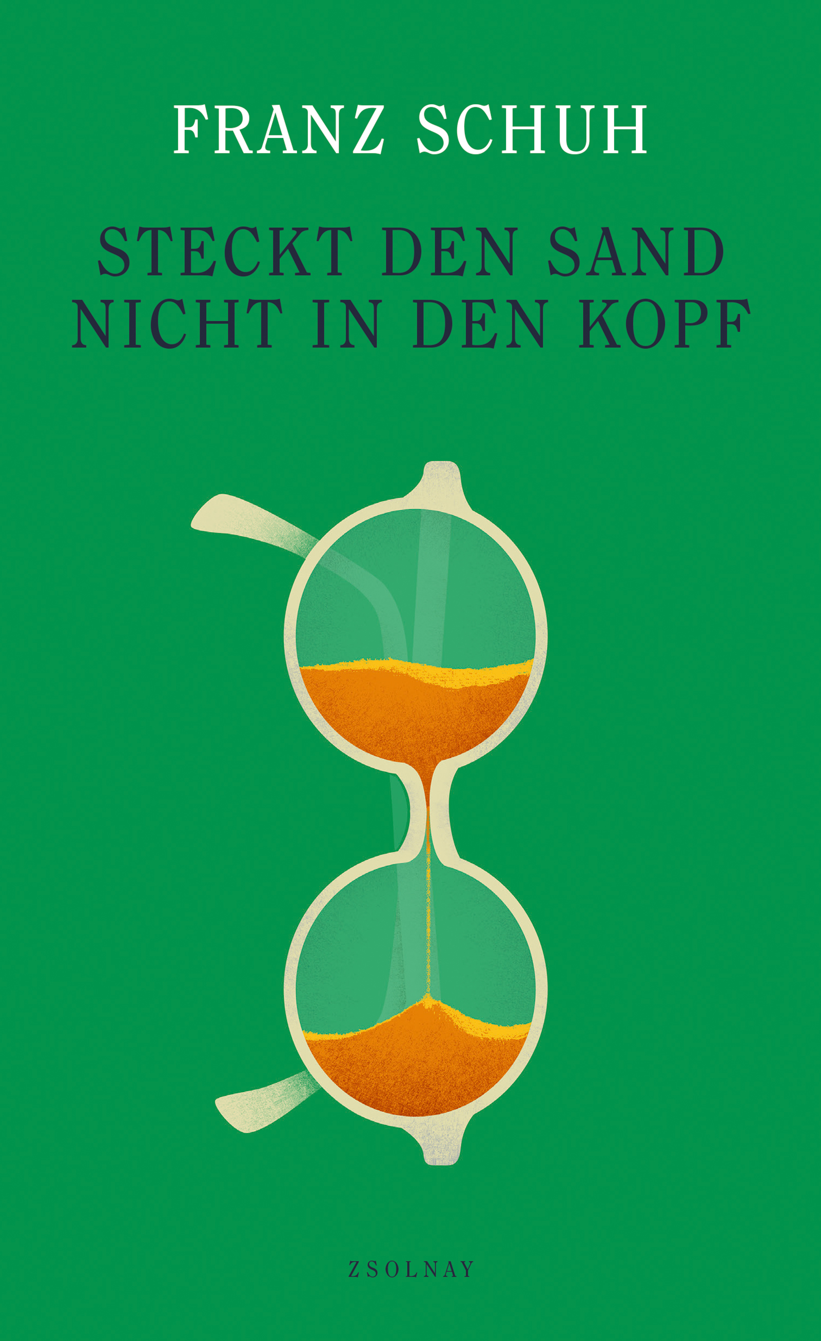 Steckt den Sand nicht in den Kopf | Franz Schuh | Hanser
