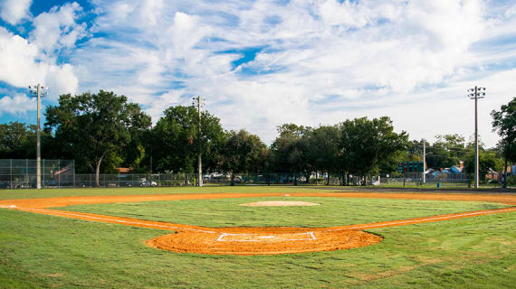 Little League World Series