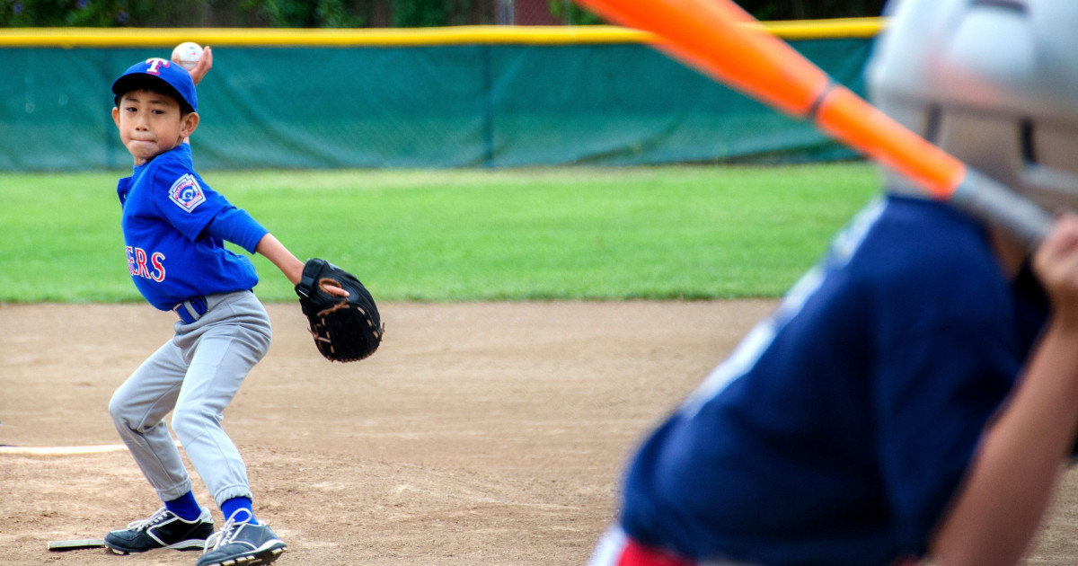 Your Voice: Answers to Questions About USABat Decertification, Pitch ...