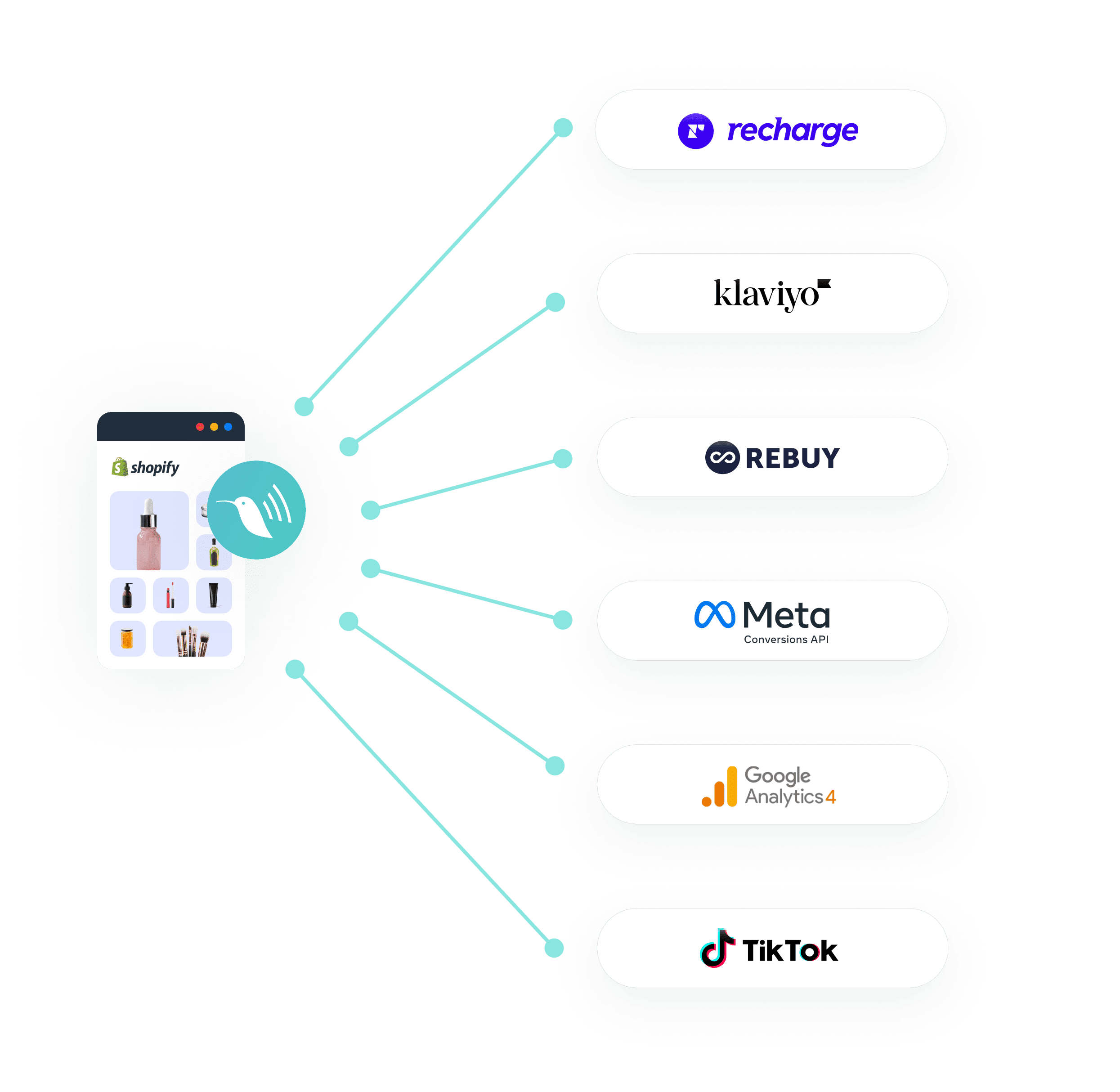 Littledata | Ecommerce data platform