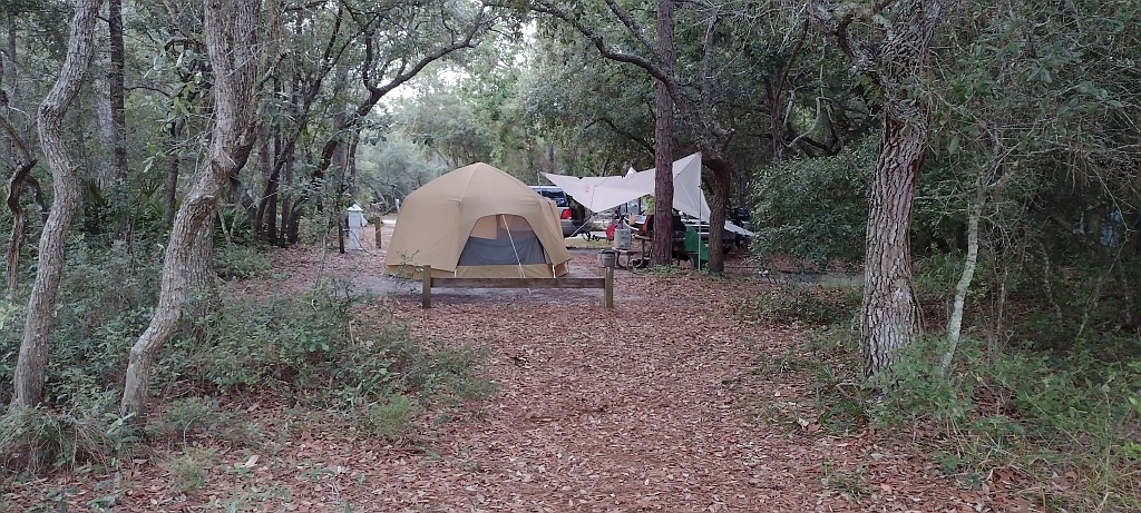 Apalachicola National Forest Camping