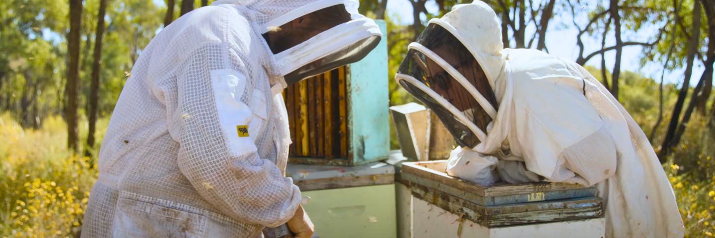 Greater Melbourne Foundation - Sweet Justice: Bee keeping training ...