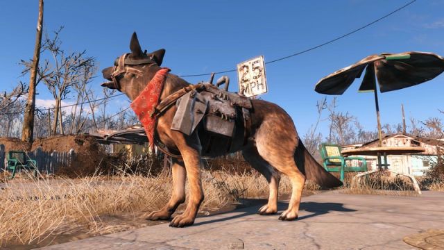 Fallout 4 mod allows you to play as Man’s best friend – GameSkinny