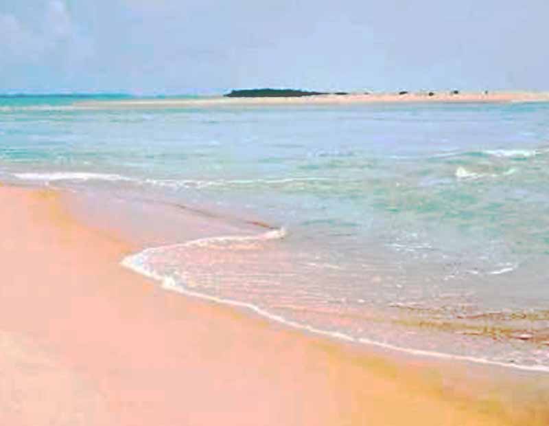 Chilika Lake - A Largest Salt Water Lake In Asia | Best Places to Visit