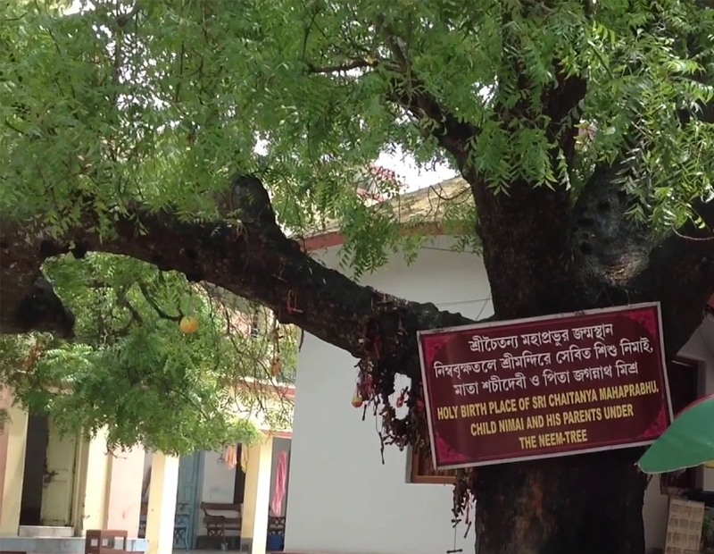 Mayapur & Nabadwip Dham | Tourist Spots and Temples