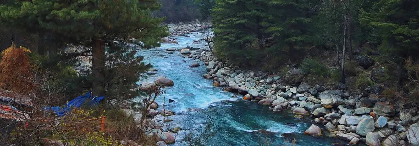 Things to do in Kasol - Local Tourism